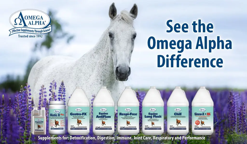 Pet Category – Omega Alpha USA