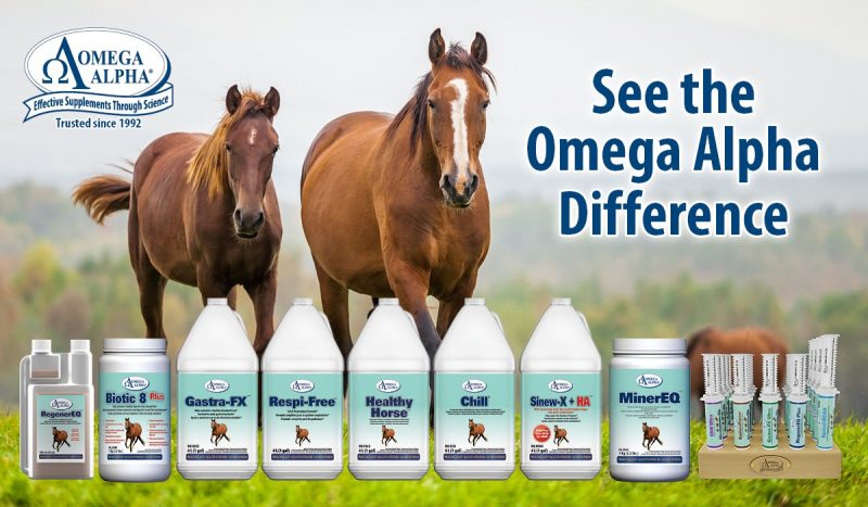 Omega Alpha USA – Effective Supplements Through Science