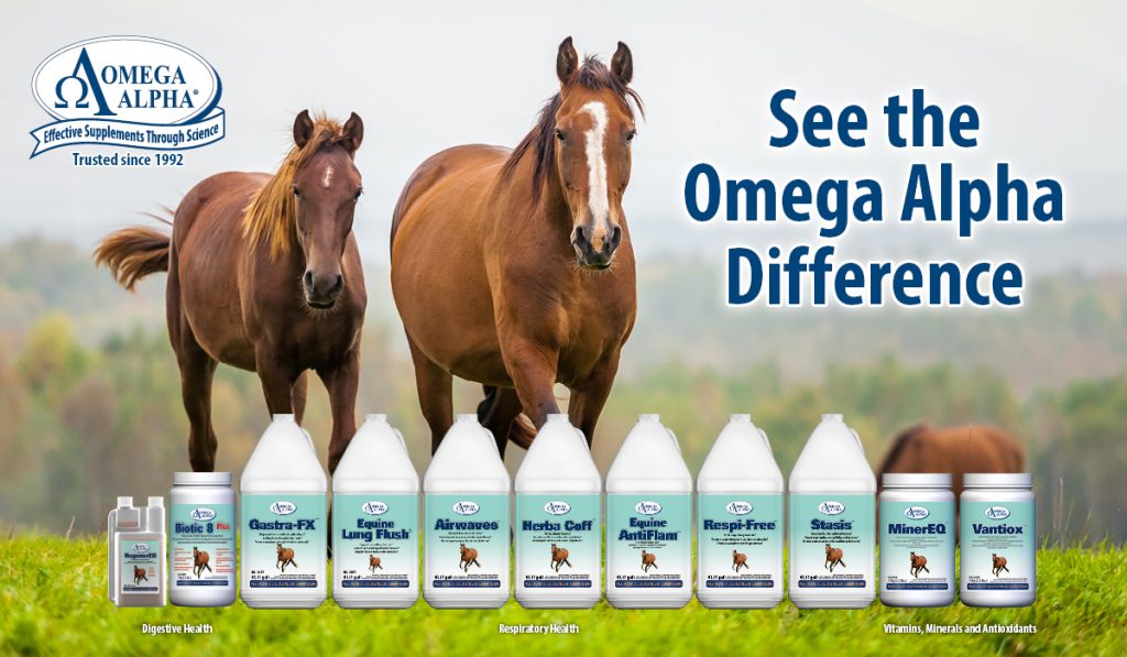 Omega Alpha USA – Effective Supplements Through Science