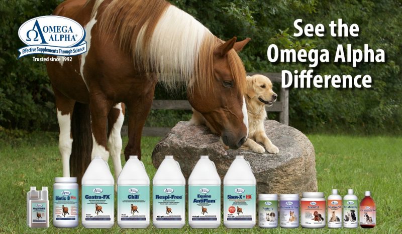 Omega Alpha USA – Effective Supplements Through Science