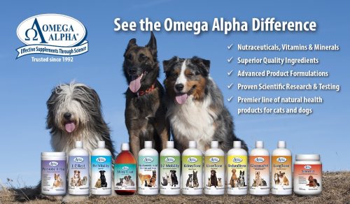 Site is undergoing maintenance