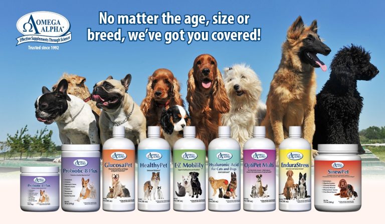 Home - Omega Alpha USA